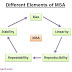 Different Elements of MSA