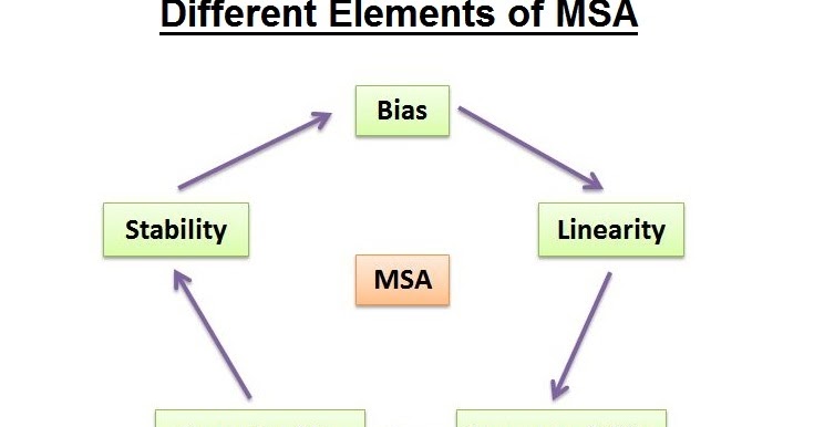 Different Elements of MSA