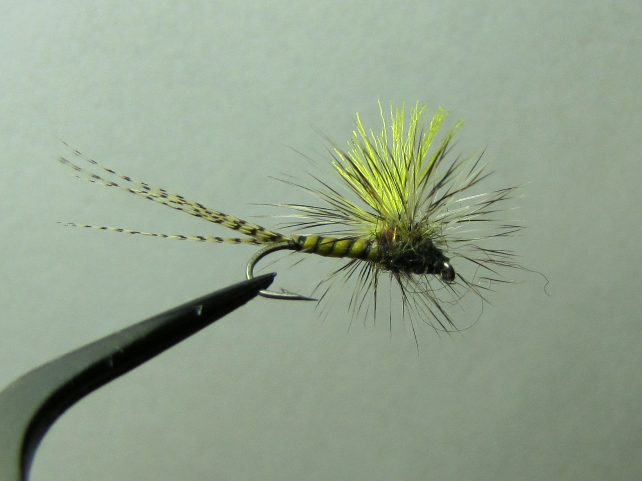 A Creative Fly Tying Blog.