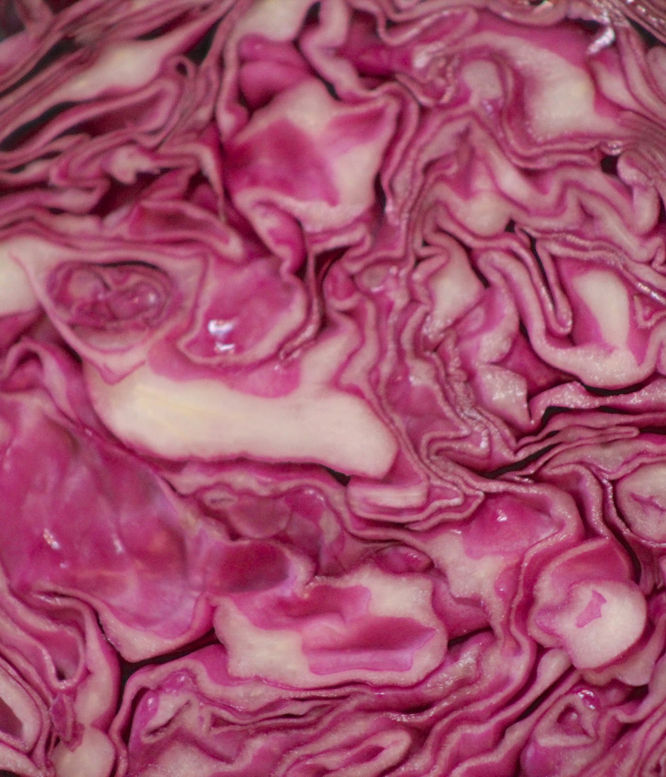 Tickety-boo Health Coaching: Red cabbage or Pink cabbage