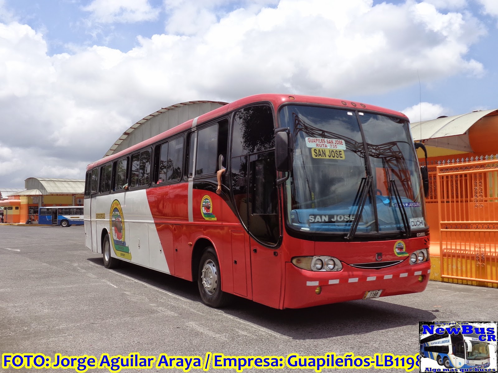 Más que buses: Buses del Caribe, gran variedad en una sola Provincia.
