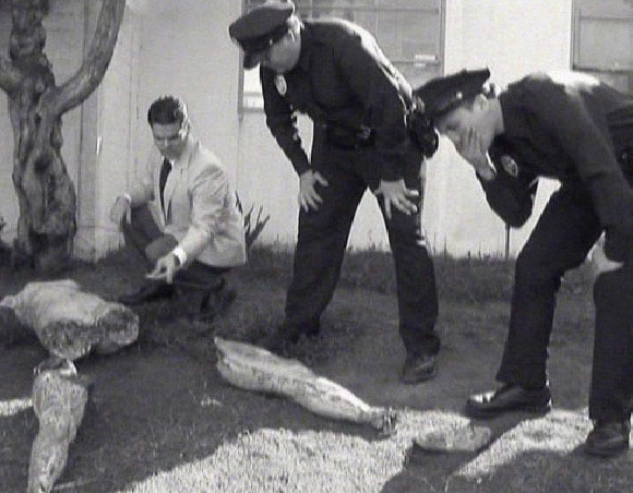 Komar Chucky: The black dahlia murder's - Misteri Pembunuhan Elizabeth ...