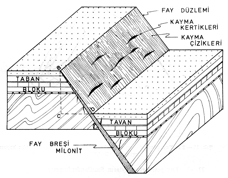 TÜRKÇE JEOLOJİ BİLGİ SAYFASI: FAYLAR (FAULTS)
