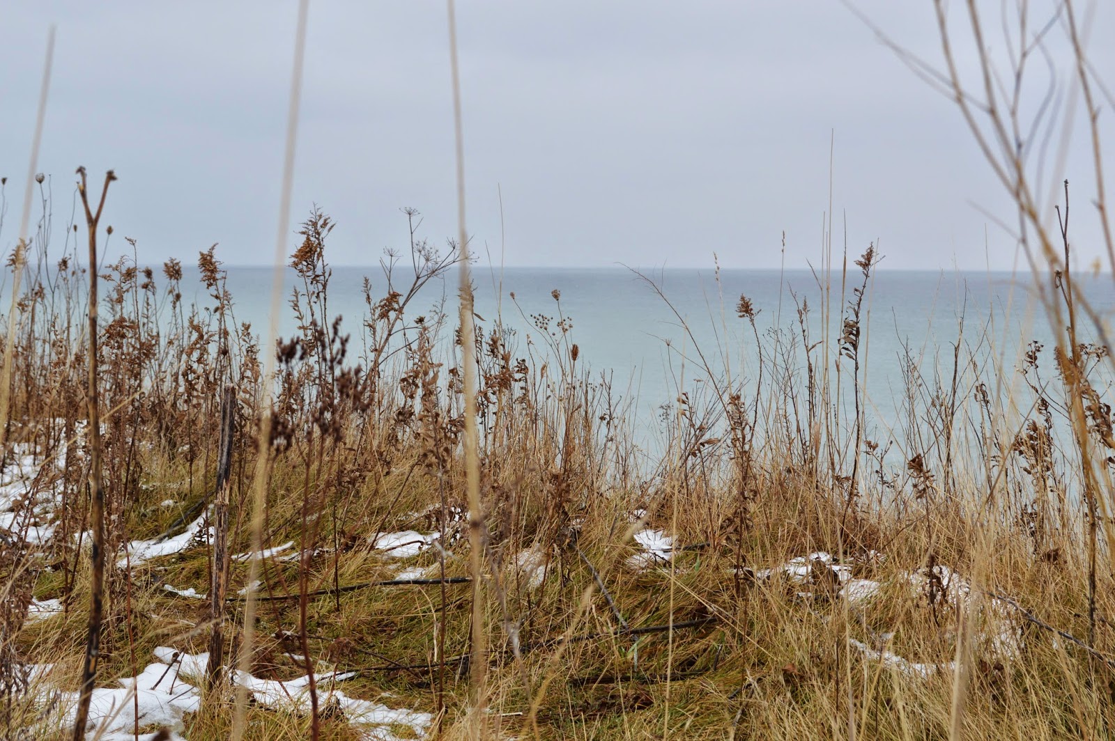 Mothering with Mindfulness : Finding Solace in Nature