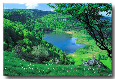 Come Visit France - The beauty: Franche-comté - Visit France