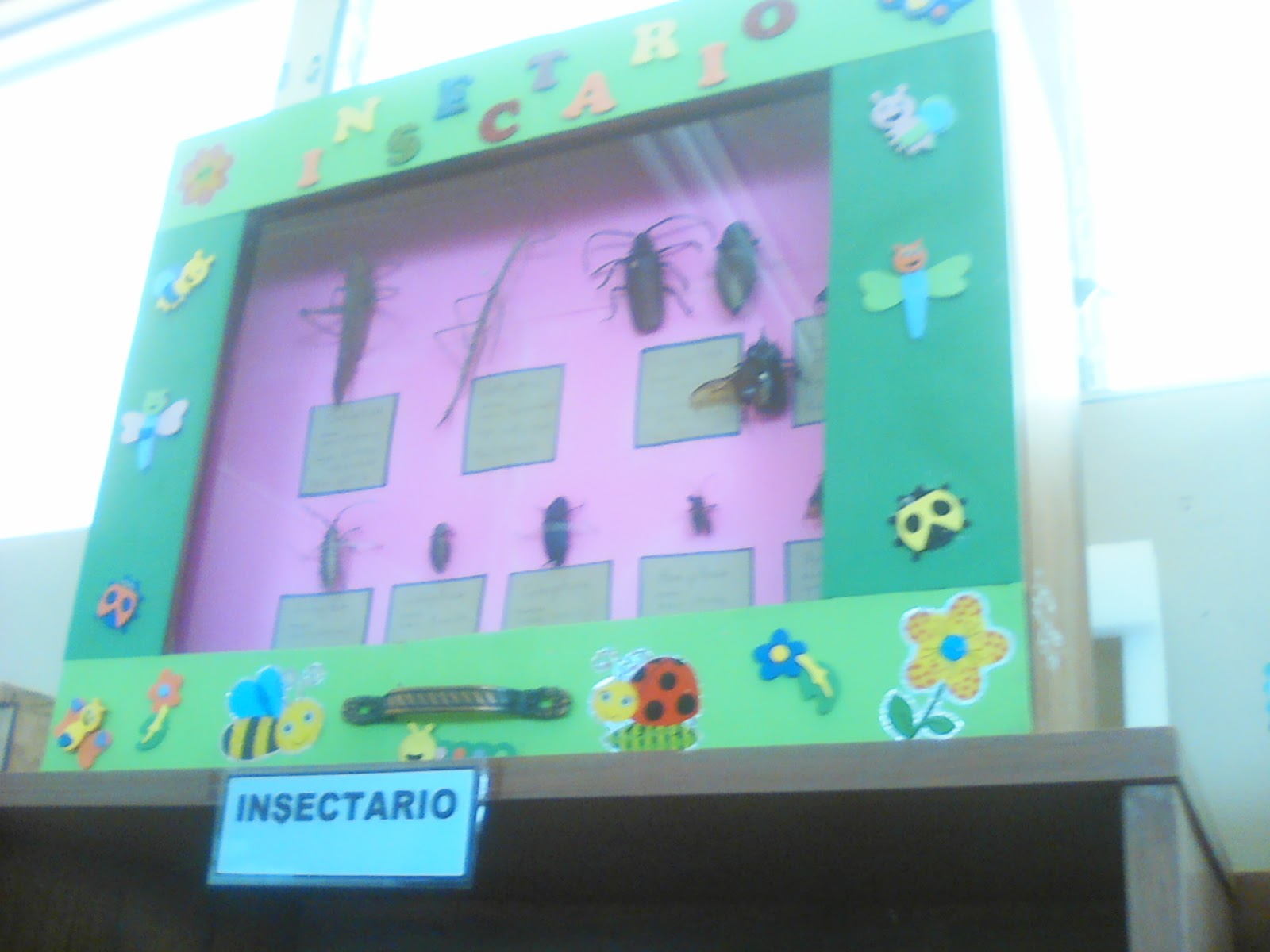 CIENCIAS NATURALES: LOS INSECTARIOS DE EL LABORATORIO