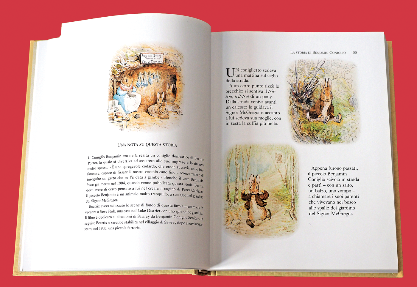 Gruppo di lettura C'era due volte un libro: marzo 2019