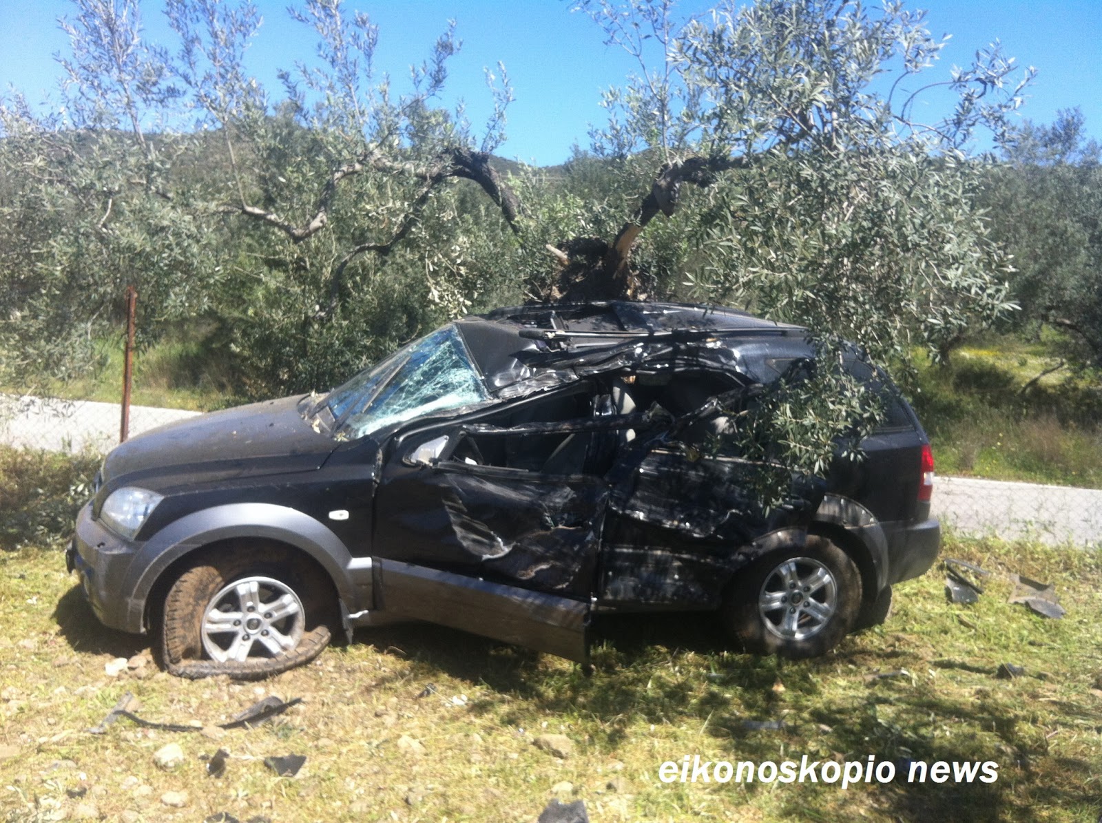 Εικονοσκόπιο News: ΕΡΜΙΟΝΗ: ΑΥΤΟΚΙΝΗΤΟ «ΚΑΡΦΩΘΗΚΕ» ΣΕ ΕΛΑΙΟΔΕΝΤΡΑ ...