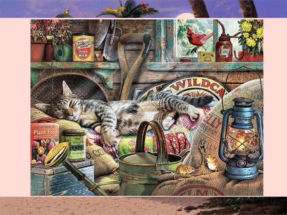 Soloillustratori: Steve Read