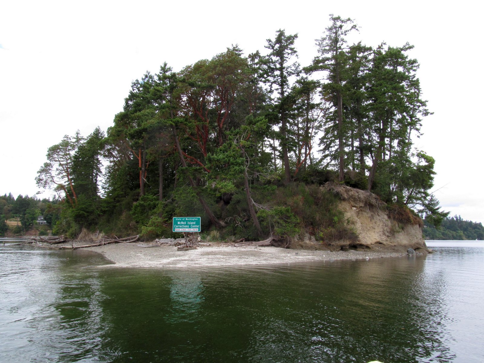 Gravel Beach: Pitt Island