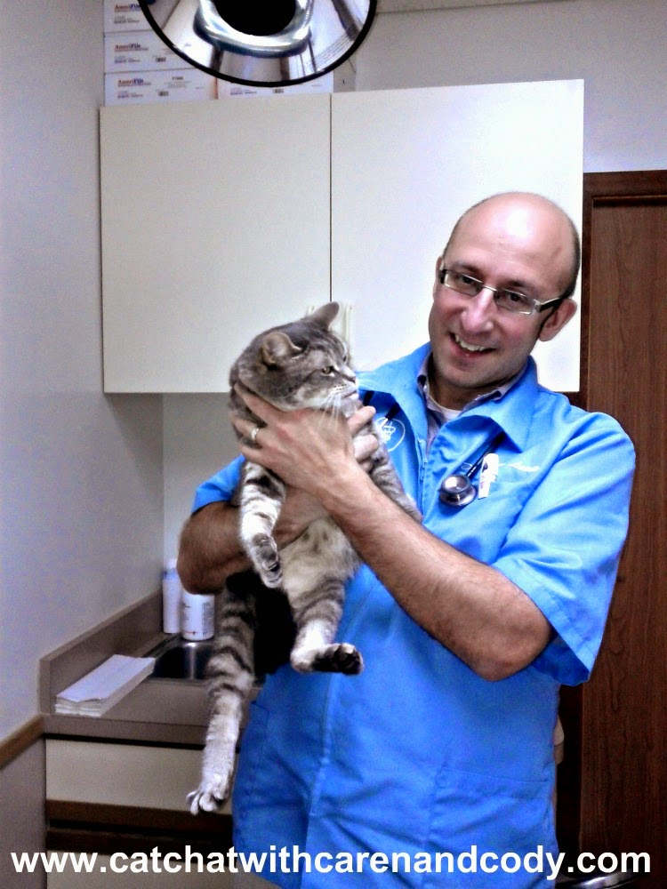 Cat and DOG Chat With Caren: Today is #WorldVeterinaryDay!!