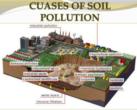 Environmental Pollution: Causes of soil pollution | Causes of land ...