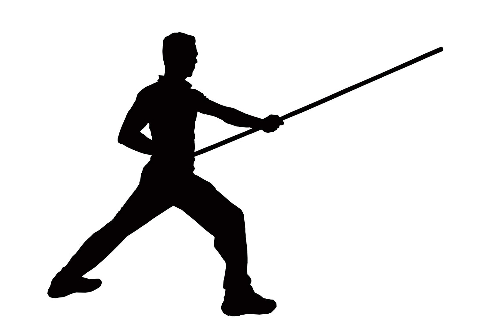 Panchabootha International Martial Arts Academy: Silambam Clipart , vector