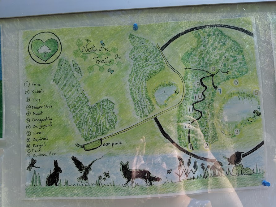 East Cramlington Nature Reserve Trail | North East Family Fun