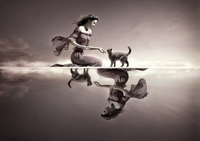 Dragones sin mazmorras: LAS MEIGAS Y SUS TIPOS DE GALICIA MÁS FIESTAS ...