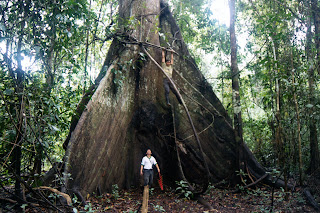 Amazon Jangle Photos ~ PHOTOS GALLERY