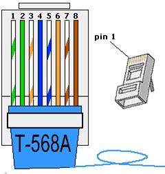 Gestiona Información Mediante El Uso De Software En Línea: Código de ...