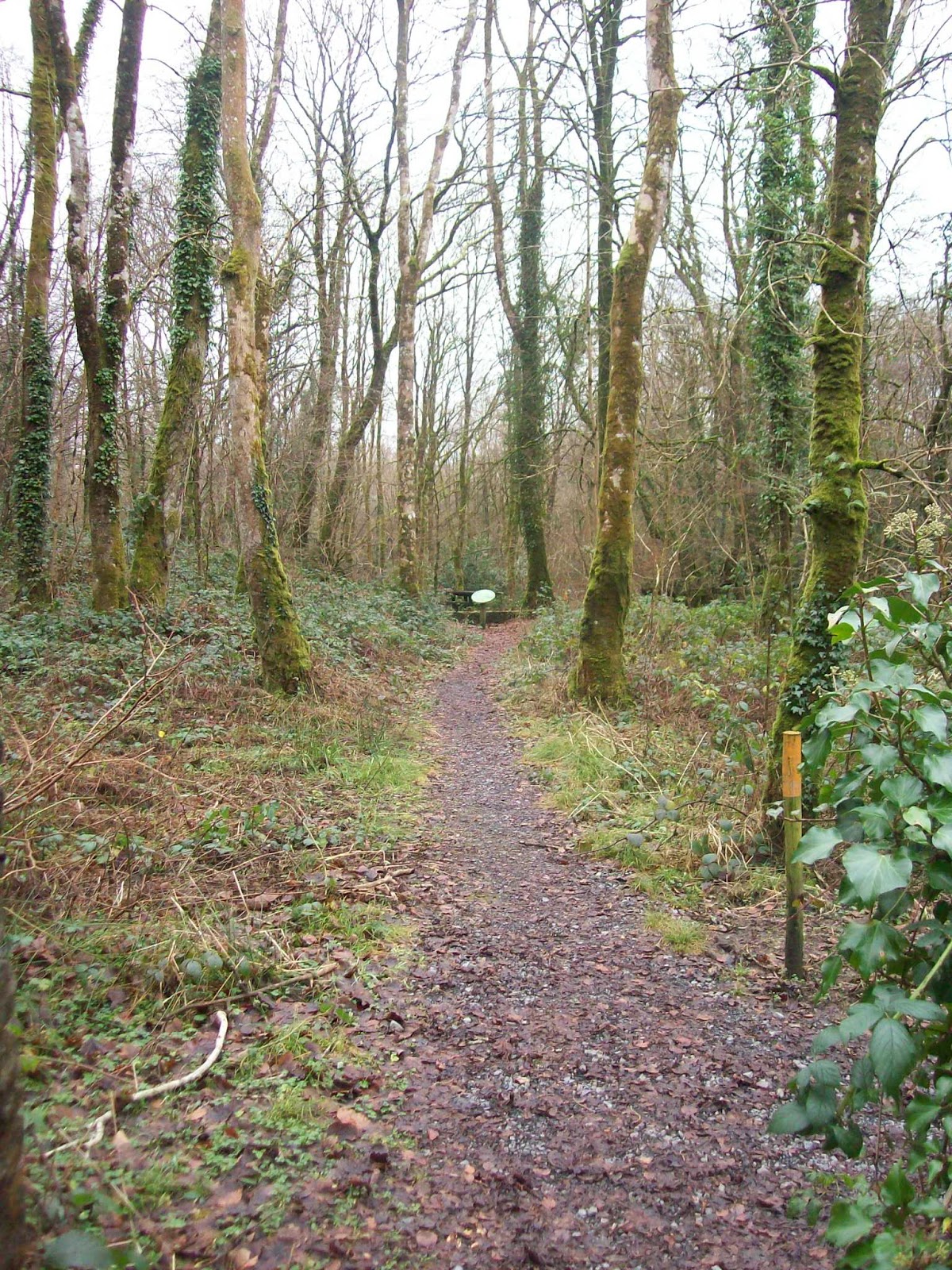 Random Bike Rides: Llanddarog - Carmarthen - Llanddarog