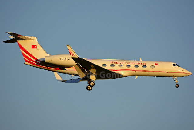 Ricardo Gomes - The True Life of a True Spotter: Spotting Trip @ Nova ...