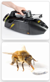 Manu's News: Sniffer bees set to create a buzz in port security