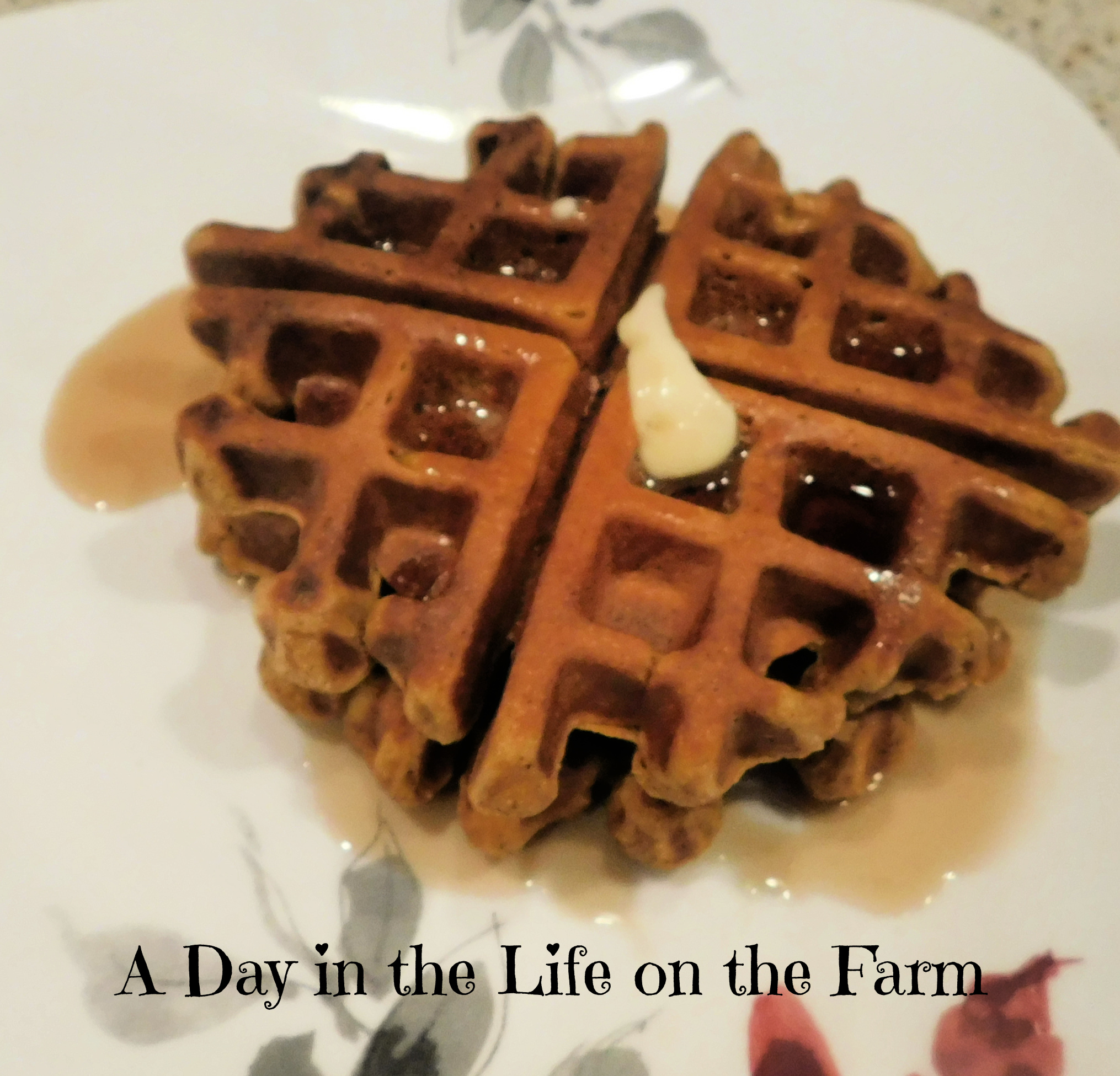 A Day in the Life on the Farm: Pumpkin Waffles #SundayFunday