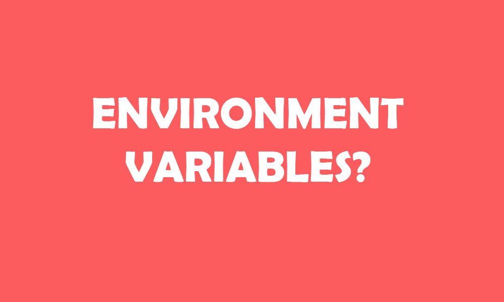 What Are ENVIRONMENT VARIABLES What Are ENVIRONMENT VARIABLES