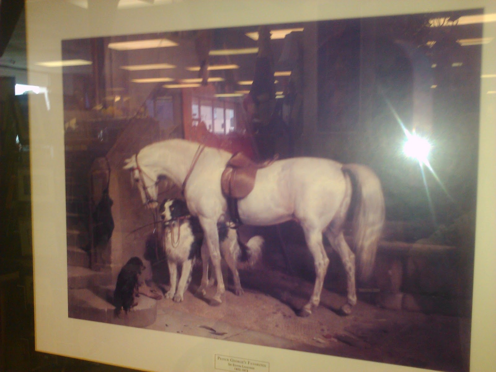 This Houston thrift store benefits animals
