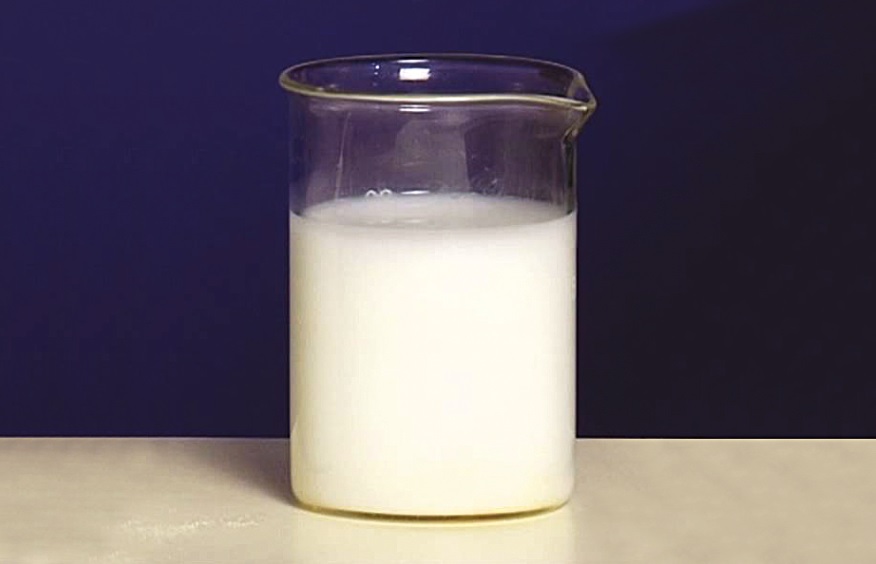 Milk and Milk Products adulterant Test at Home