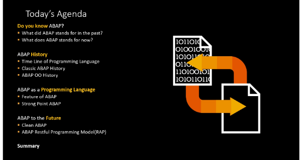 Do you know ABAP as a Programing Language?