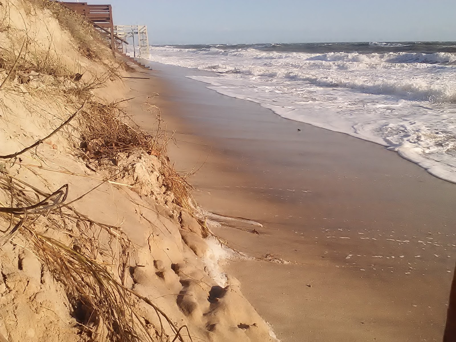 The Treasure Beaches Report Direct From Florida's Treasure Coast.: 3/22 ...