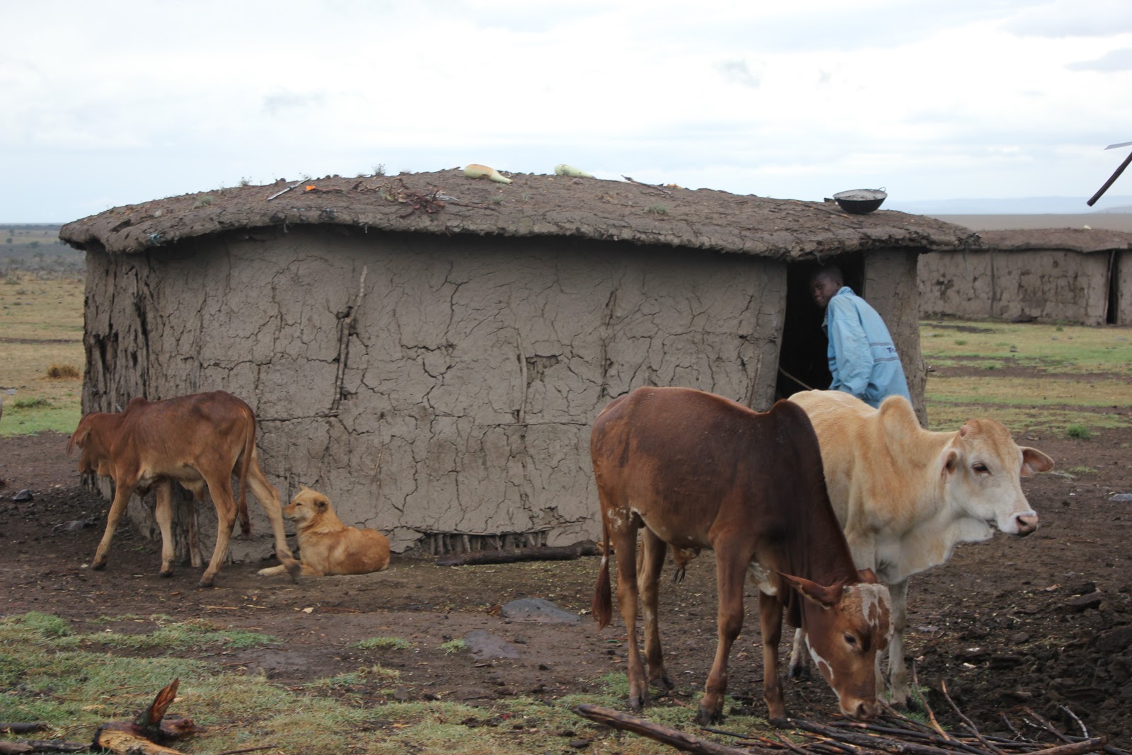 BergFamilyAfrica: Massai Village