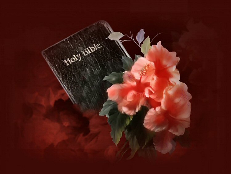 The Holy Alphabet ~ Dim's Note Book