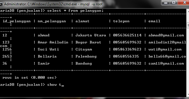 Hayatulgina: Membuat Database Penjualan di CMD serta keterangannya