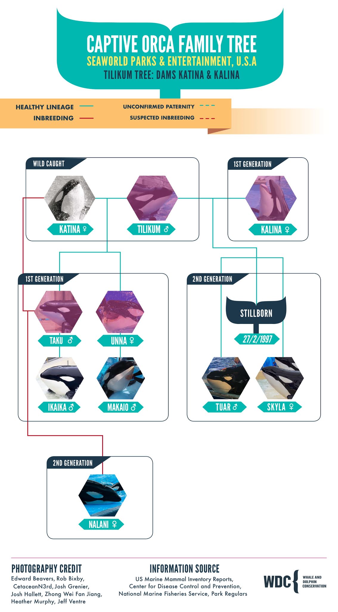 Orcas del mundo, en cautiverio