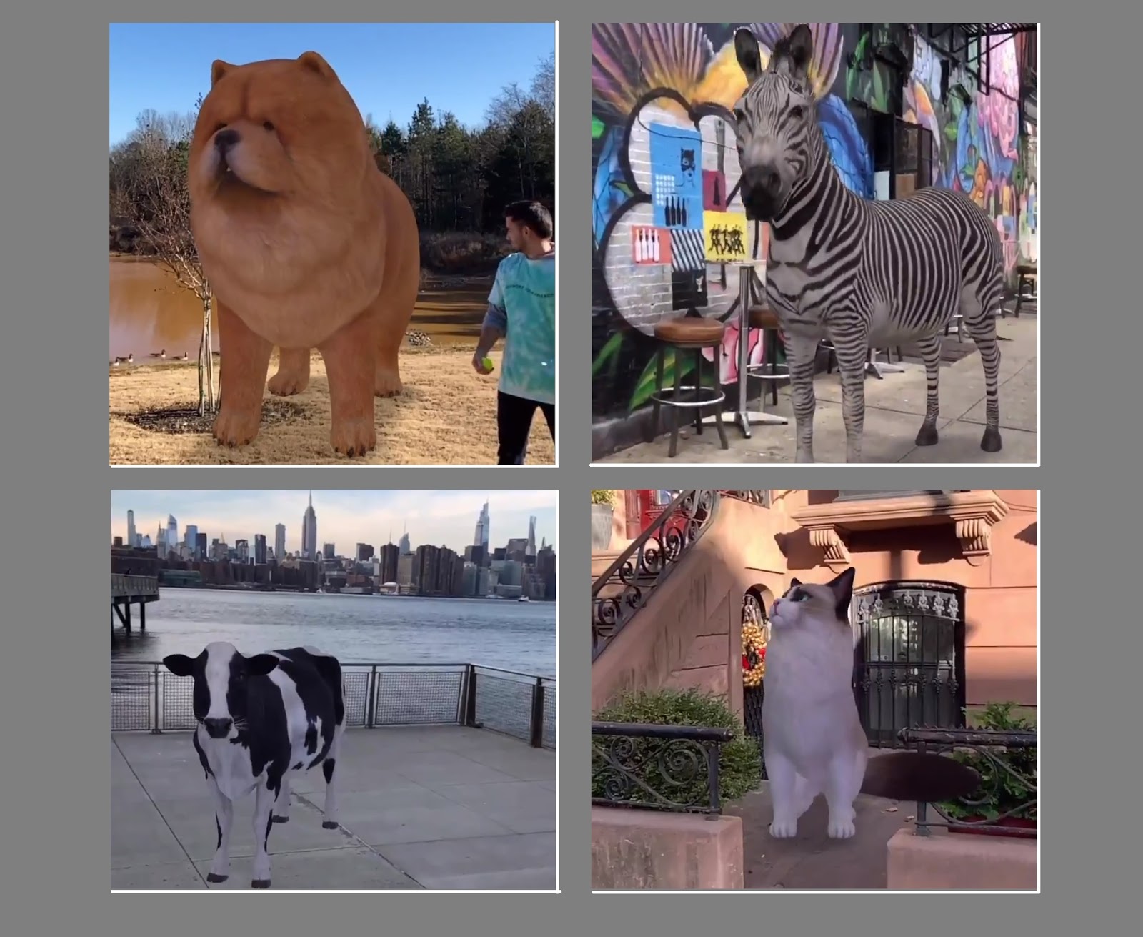 Google Adds 50 New AR Animals to Its Search Results