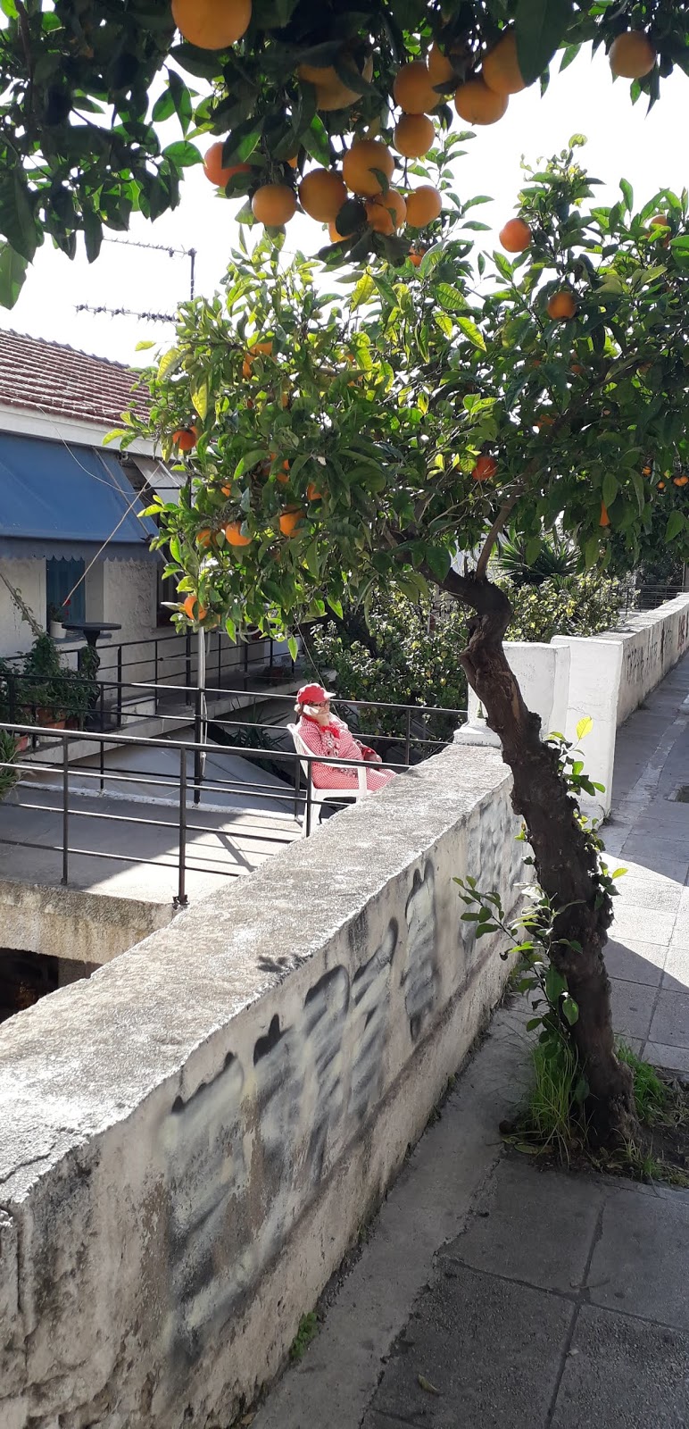 Το ΜΠΙΛόγκ: ΠΕΡΠΑΤΑΔΑ ΣΤΗΝ ΑΚΤΟΓΡΑΜΜΗ ΤΟΥ ΠΕΙΡΑΙΑ