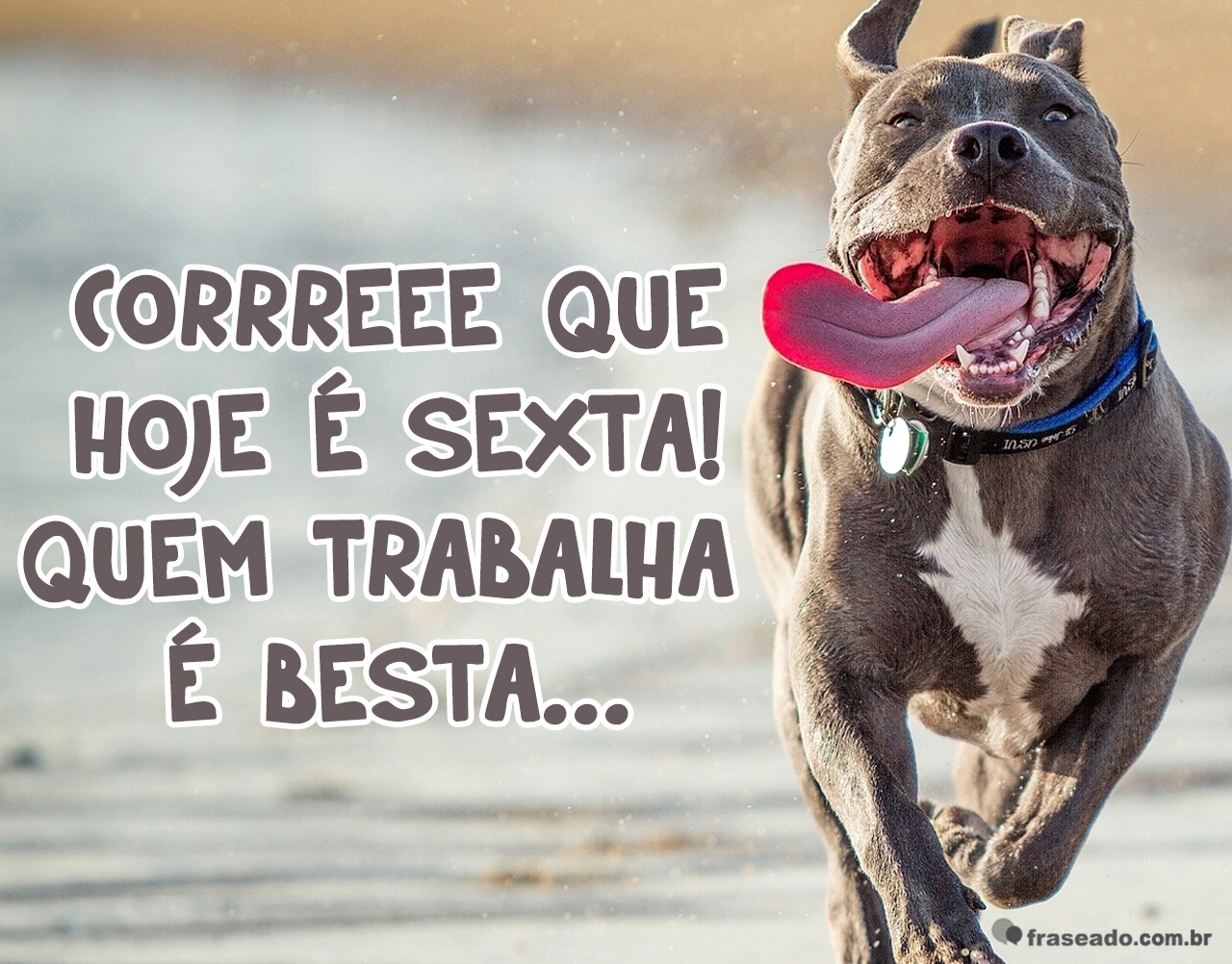 Mensagem Engraçada De Sexta Feira