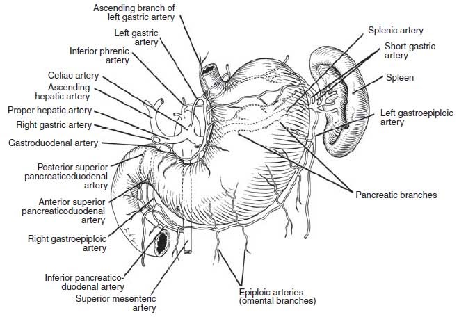 Peptic Ulcer Disease Case File