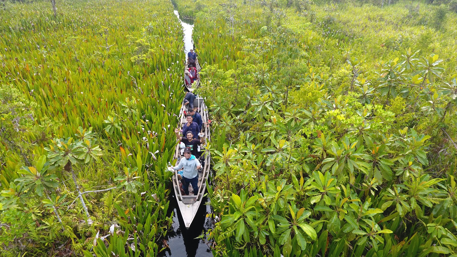 Hutan Rawa Singkil, Surga Flora Fauna di Bumi Aceh - Si Anak Rimo
