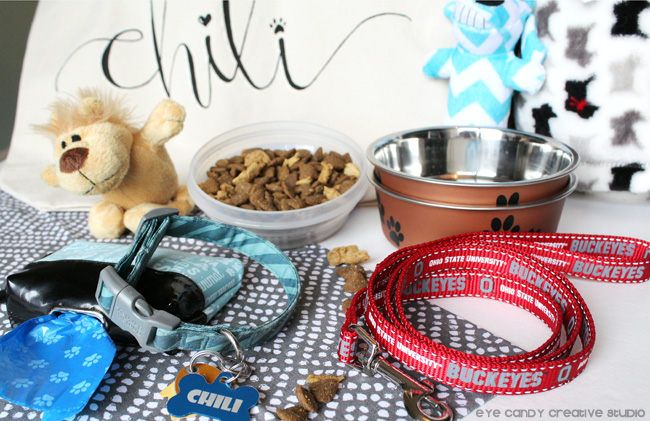 Eye Candy Creative Studio: DIY :: Personalized Doggie Bag