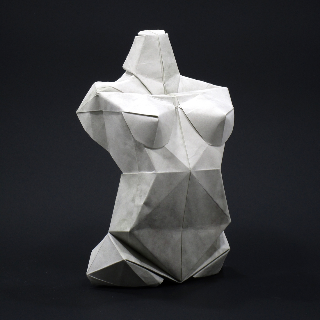 Mariano-Mi mundo el Origami: Torso