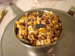 Rogue Wild Farm: Sprouting fodder for our livestock Part 1 - testing ...