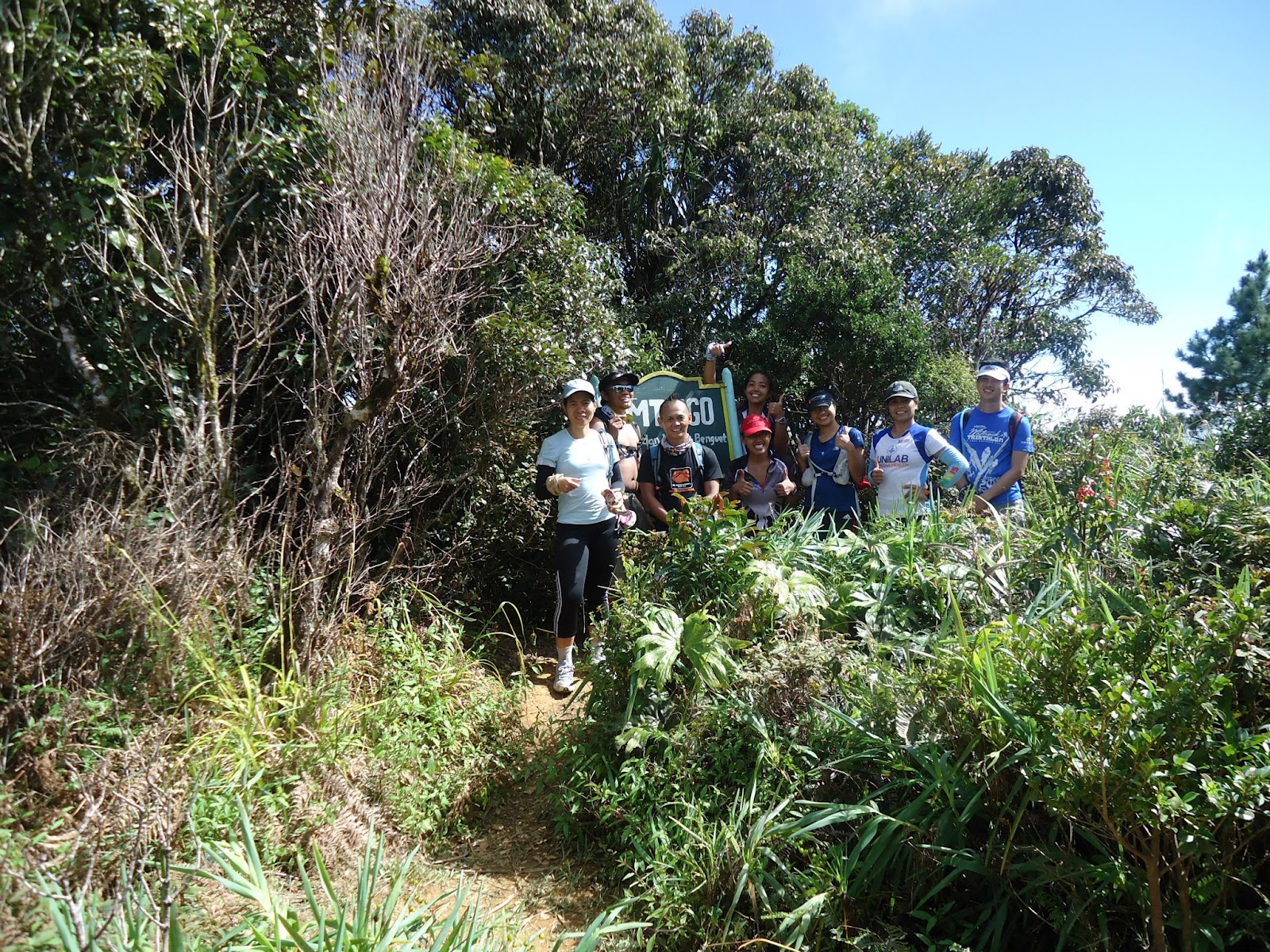 Curly Climber: Mt. Ugo