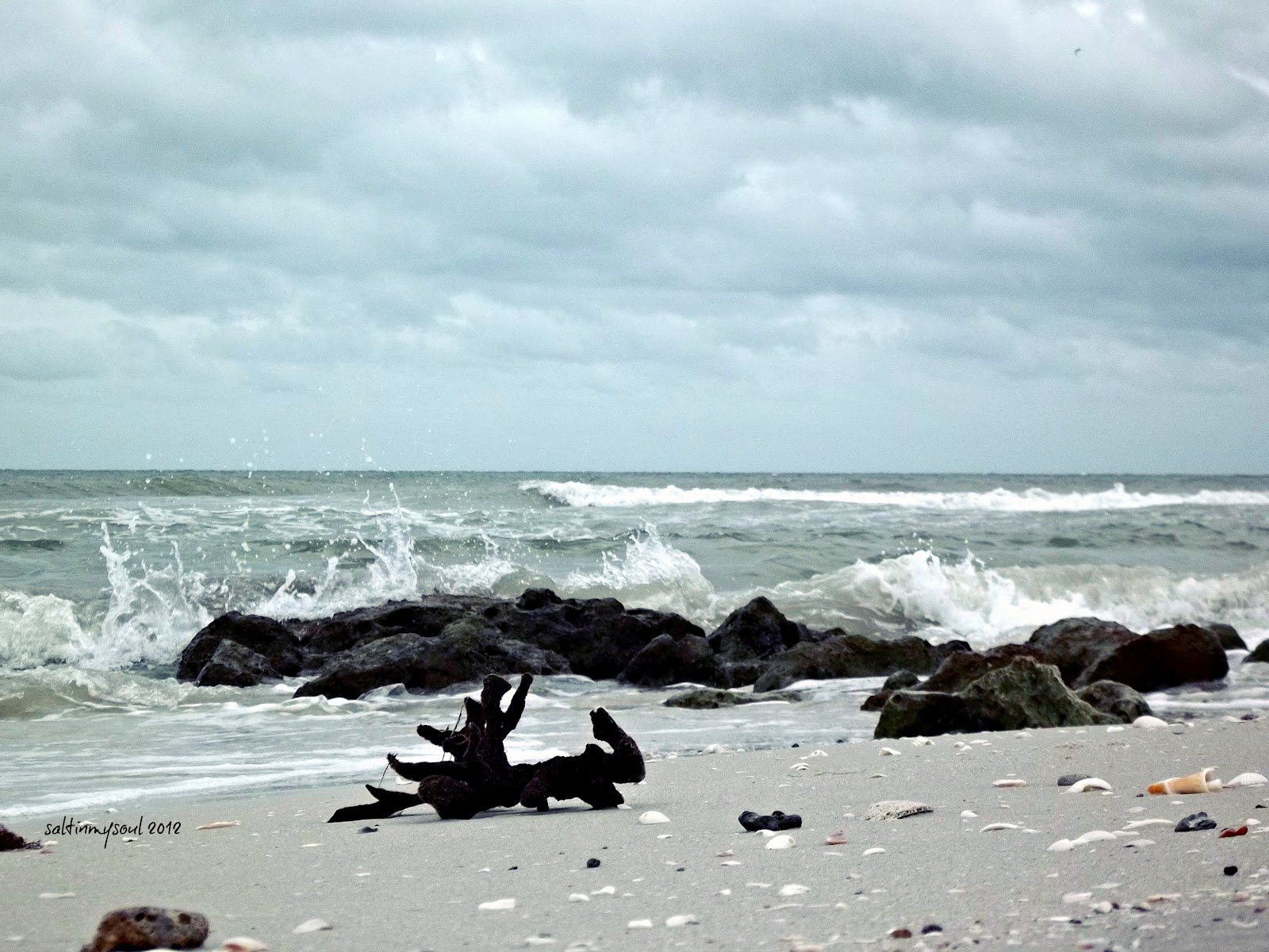 Salt In My Soul: During Issac Walk-well, sort of...