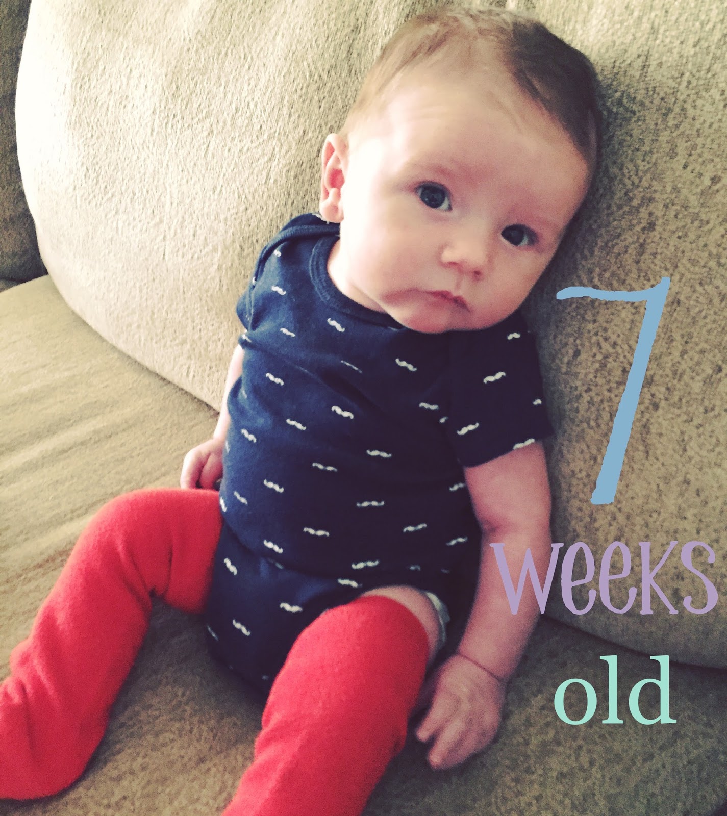 Hold the Gluten Please: 7 weeks old