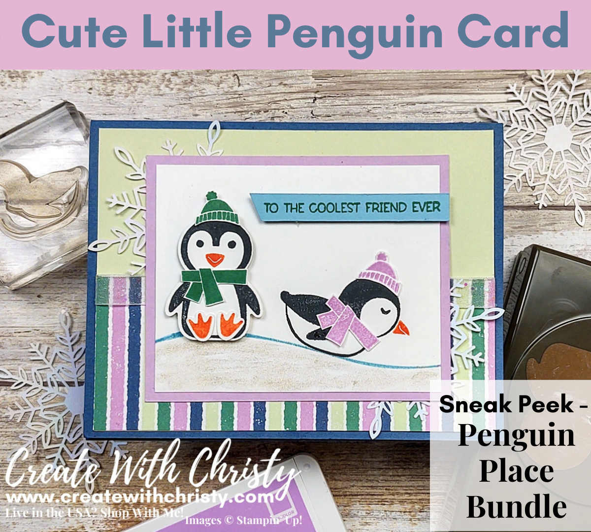 Stampin' Up! Sneak Peek - Penguin Place Bundle [Create With Christy]