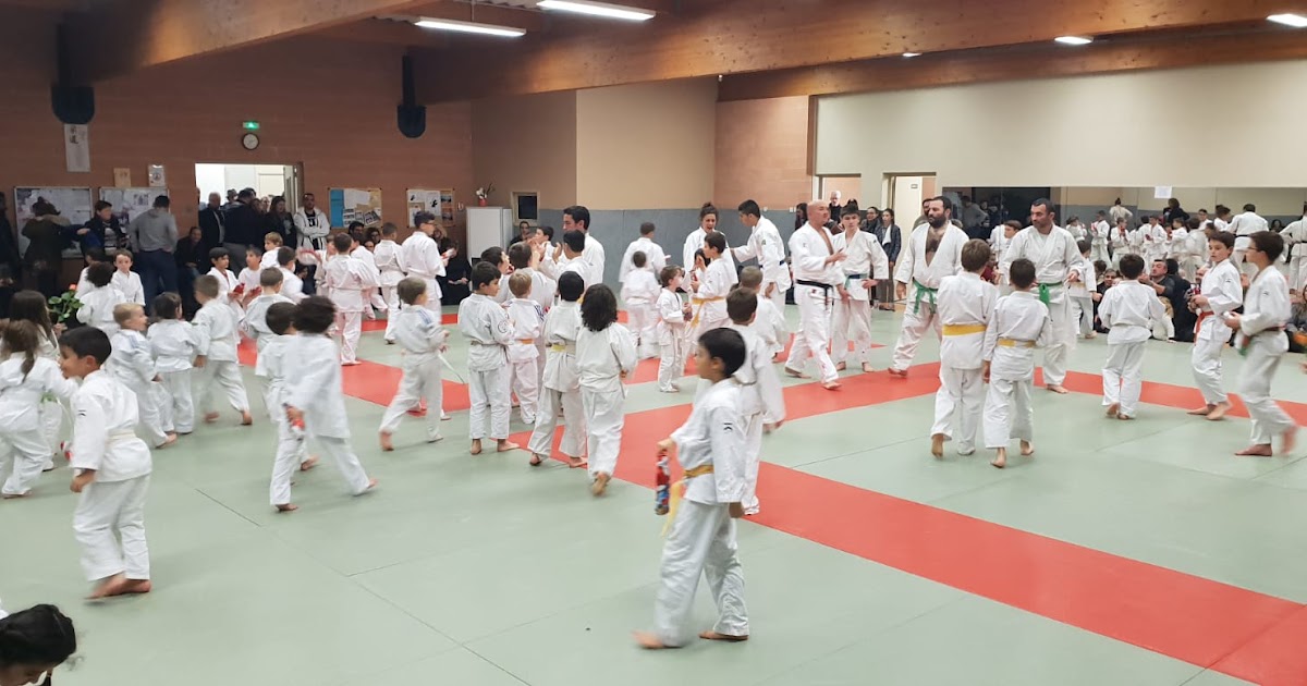 Judo Club Védasien