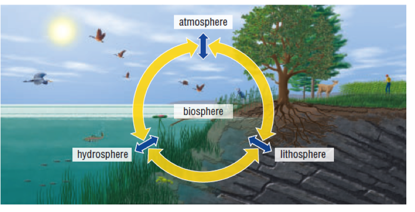 Grade 9 Science: Nov. 22 – Introduction to Ecology