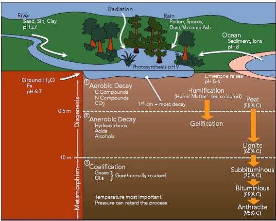 Suara Geologi: Apa itu CBM (Coal Bed Methane)