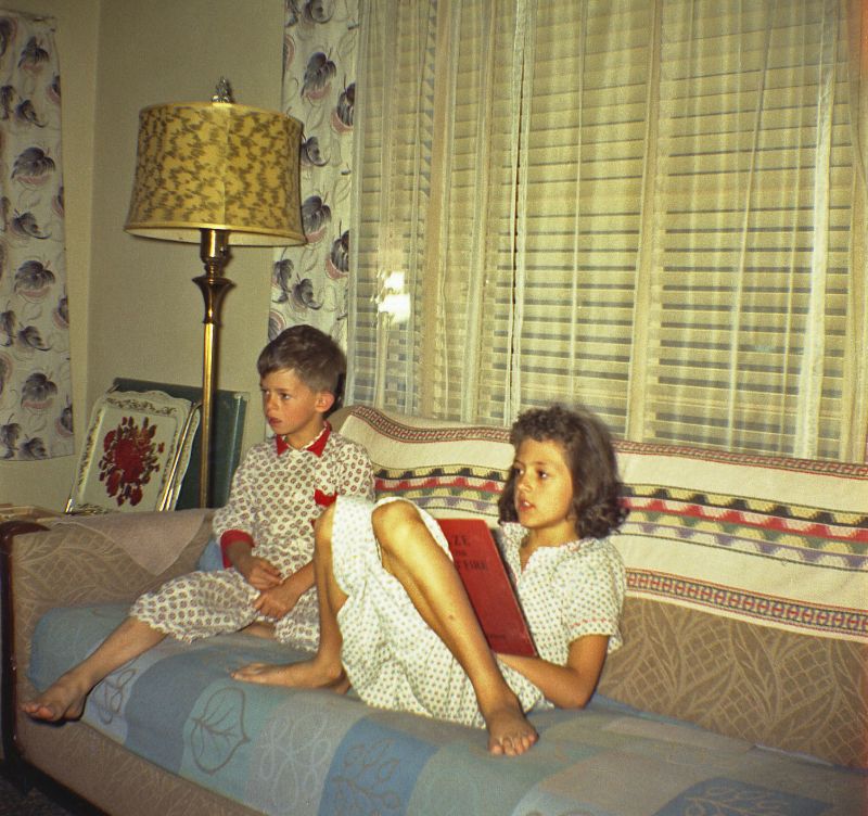 Vintage Snaps of People at Their Living Rooms in the 1960s ~ Vintage ...